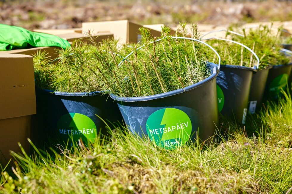 RMK Metsaistutuspäev 2024 - WOW EVENTS | Tee. ära proovi!